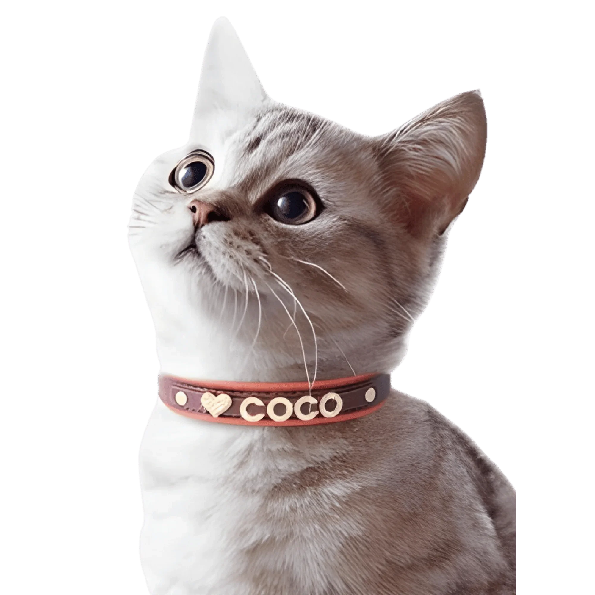 PetTagCollars Feline Collection – PetTagCollars.com